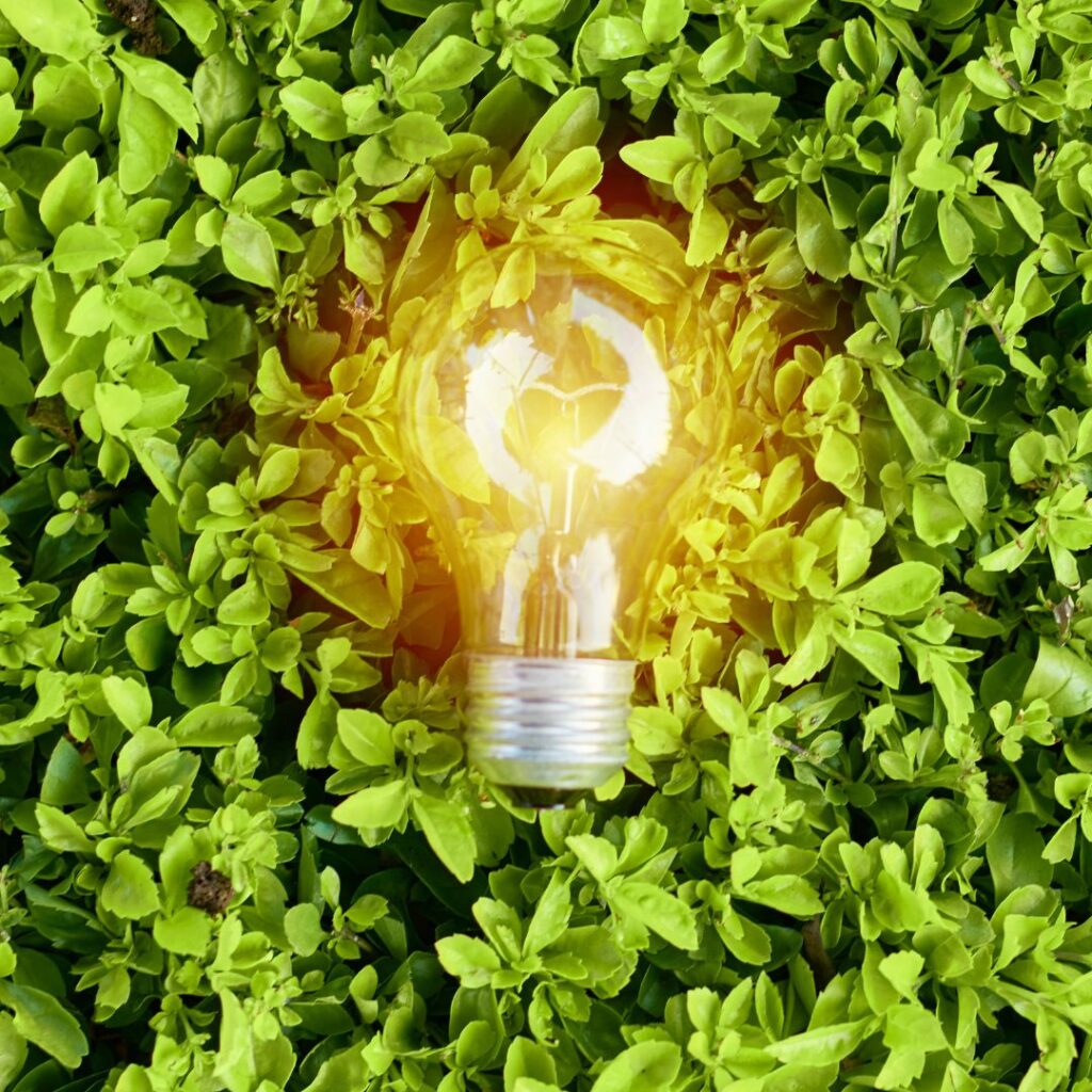 How Does Demolition Affect the Environment? - Learn More